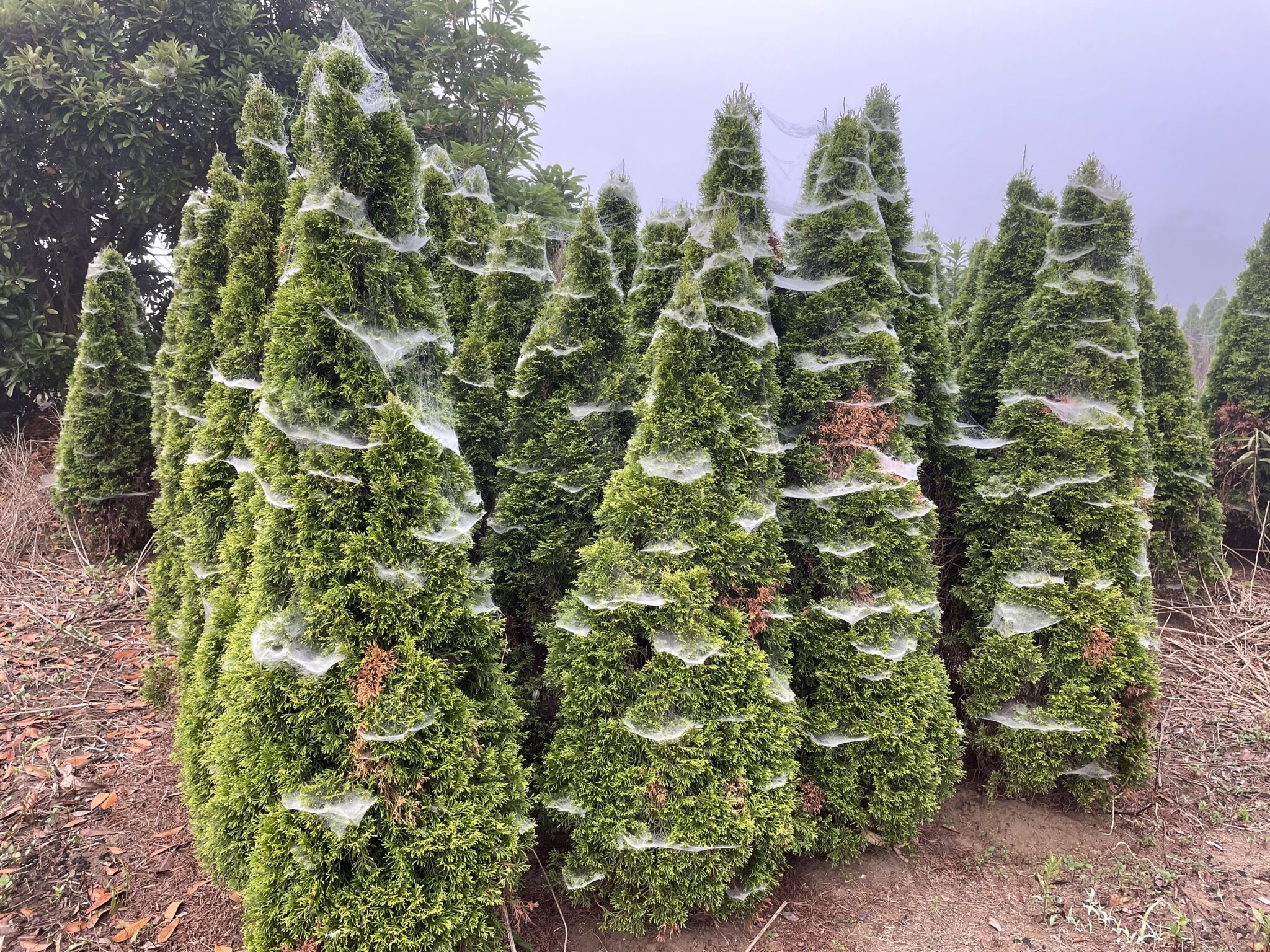 スタッフブログ